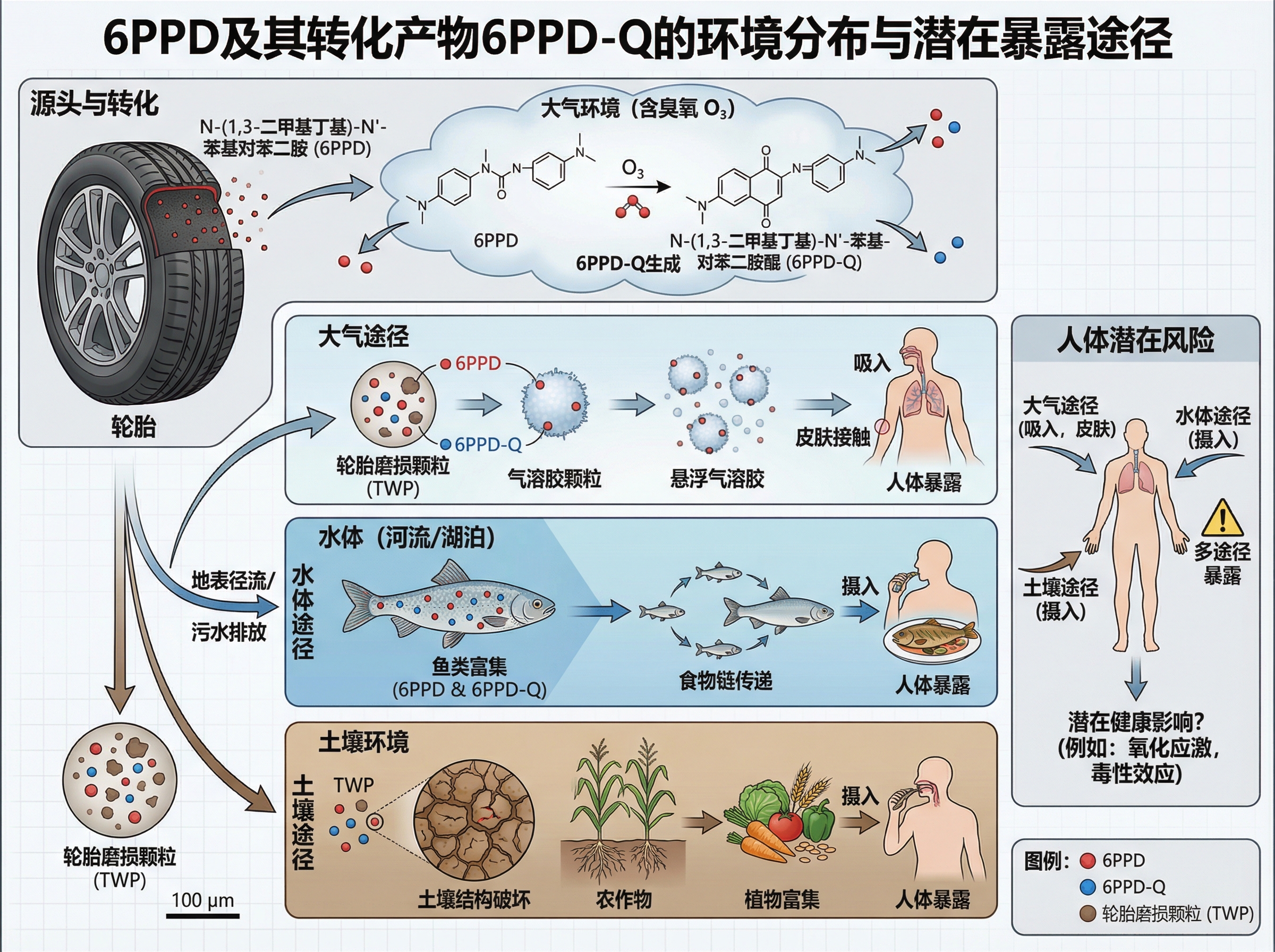 N-(1,3-dimethylbutyl)-N'-phenyl-p-phenylenediamine (6PPD)... | SciDraw ...