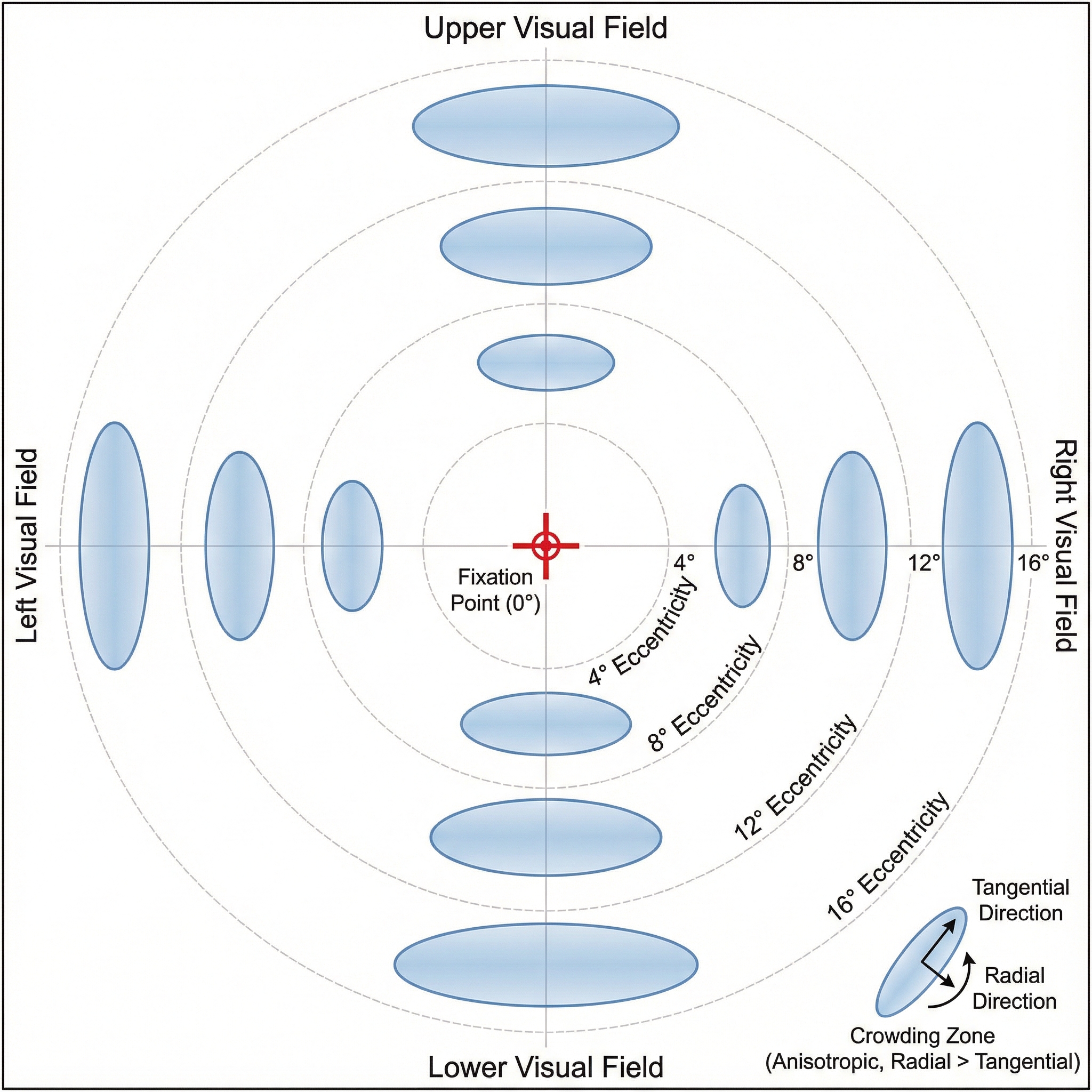 This schematic illustrates visual crowding zones across t... | SciDraw ...
