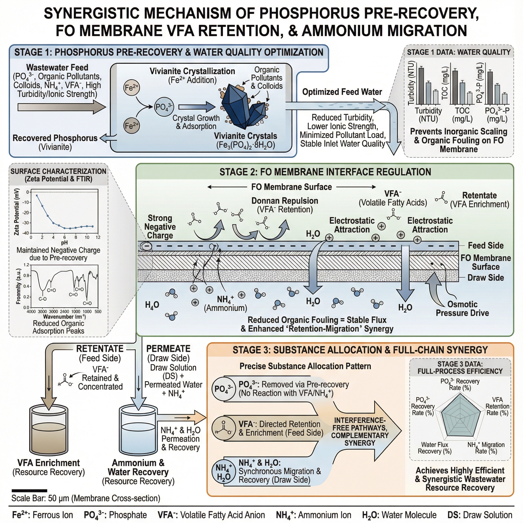 Illustration: A schematic diagram of the synergistic mech... | SciDraw ...